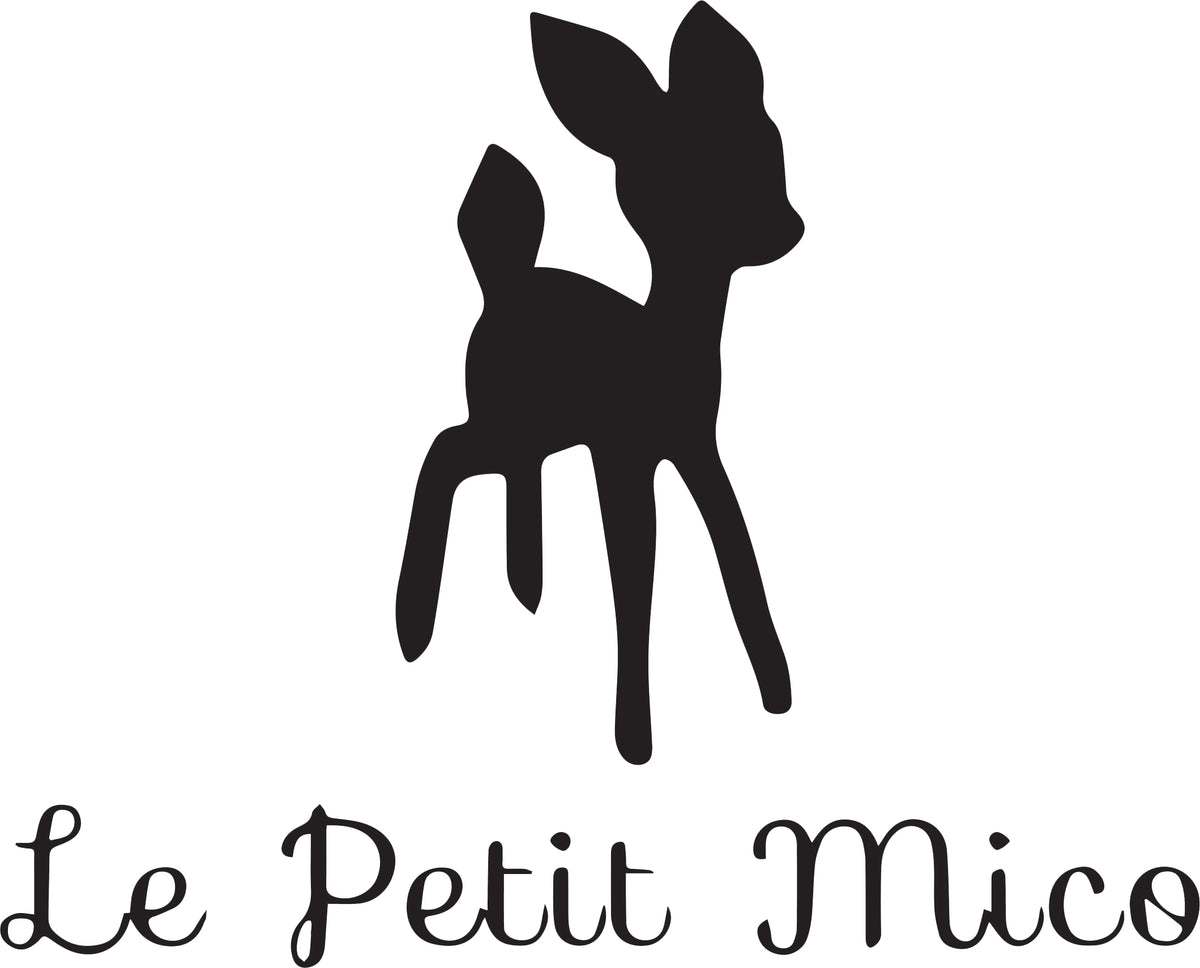 LE PETIT MICO